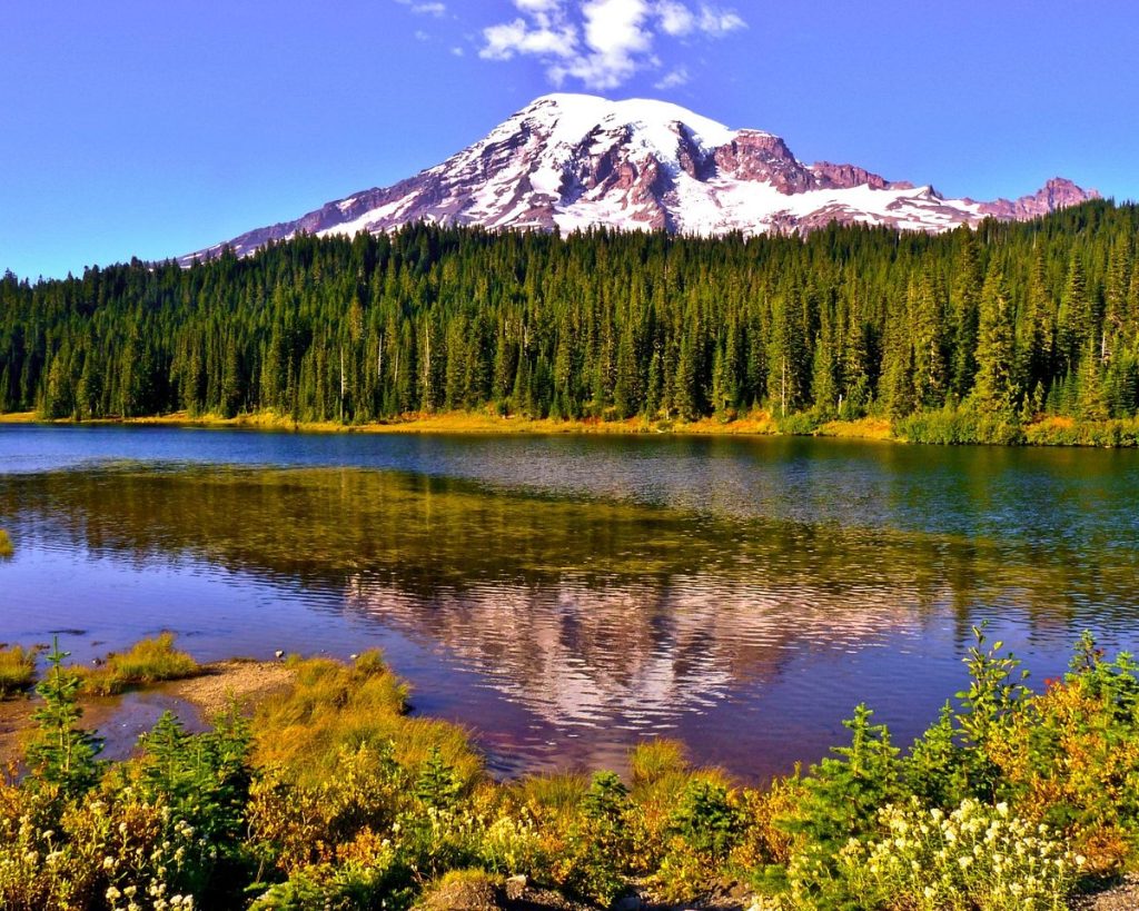 Wisata Mount Rainier: Panduan Lengkap Menikmati Beauty Alam